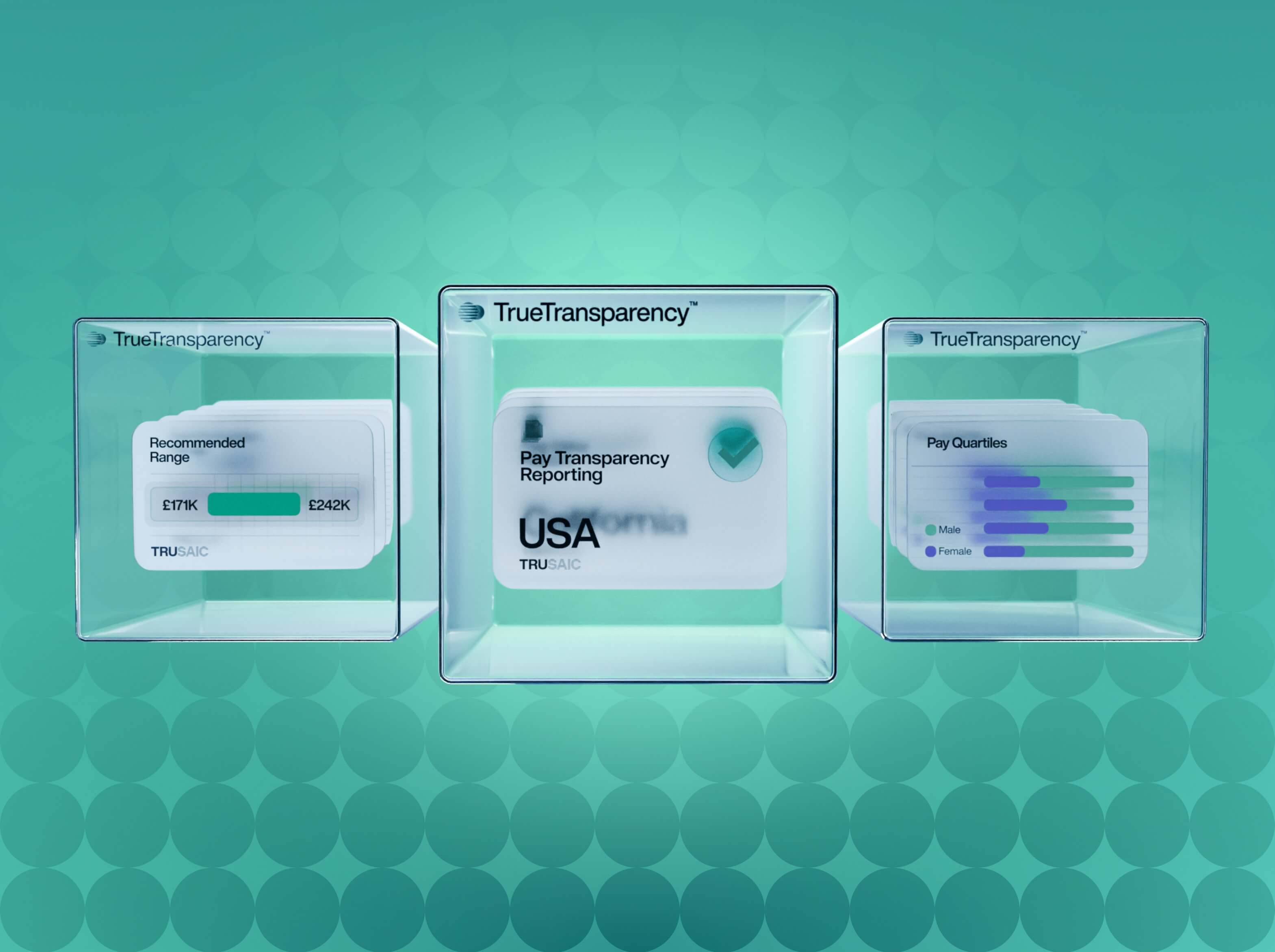 TrueTransparency™ | Advanced Pay Transparency Solutions